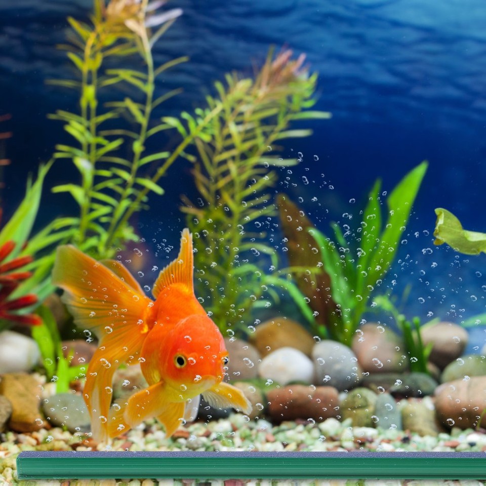 Fish Tank Oxygenation Bar Air Bubble Strip Diffuser for Aquarium | eBay UK