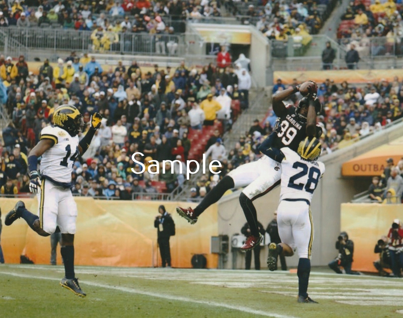 Bryan Edwards South Carolina Gamecocks Football Photo BE1 | eBay