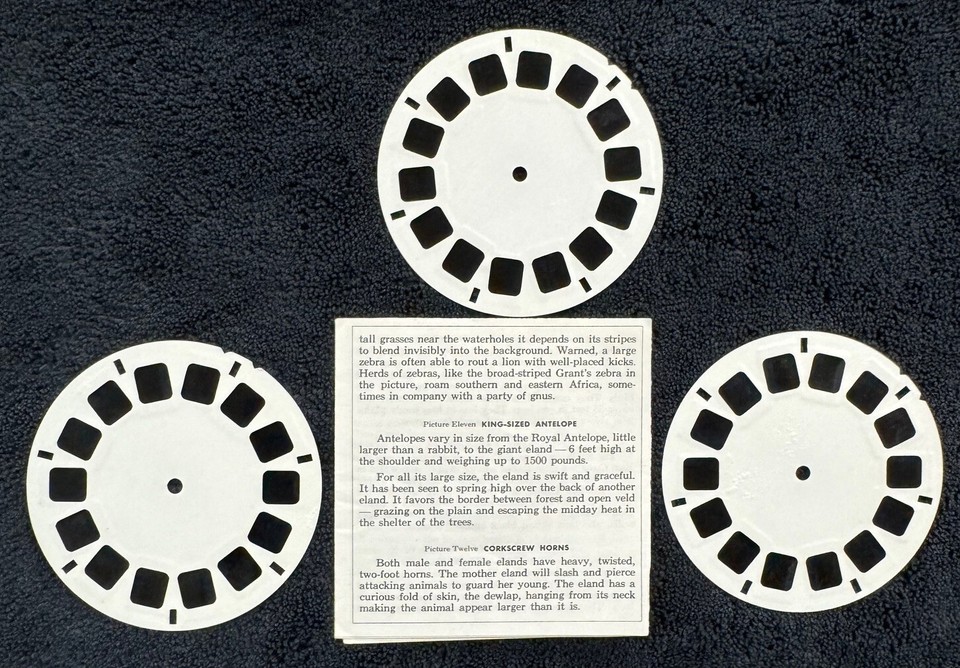 View Master Reel Set B 618 Wild Animals of Africa with Booklet | eBay