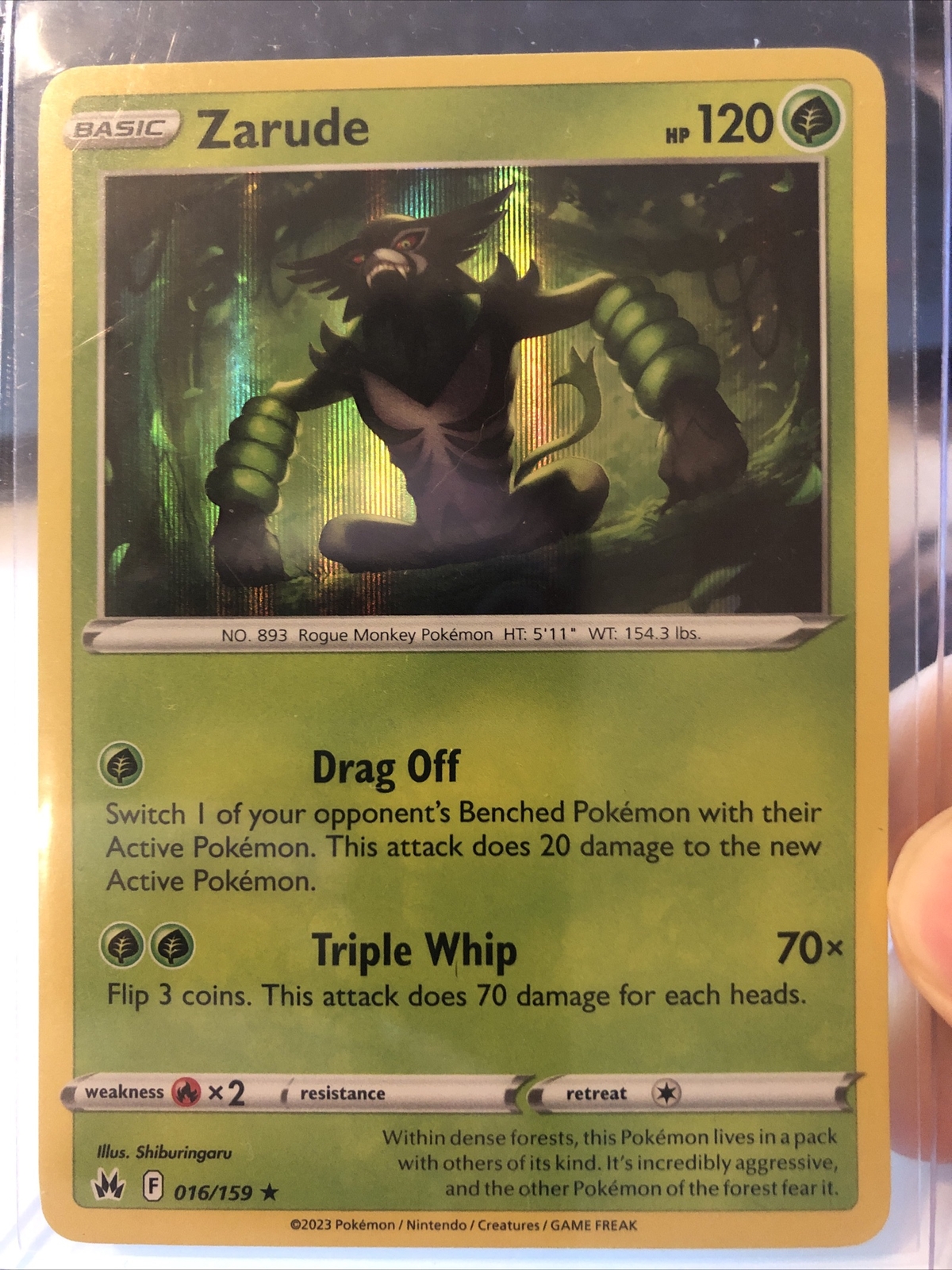 Pokémon TCG Zarude Crown Zenith 016/159 Holo Holo Rare NM/M | eBay