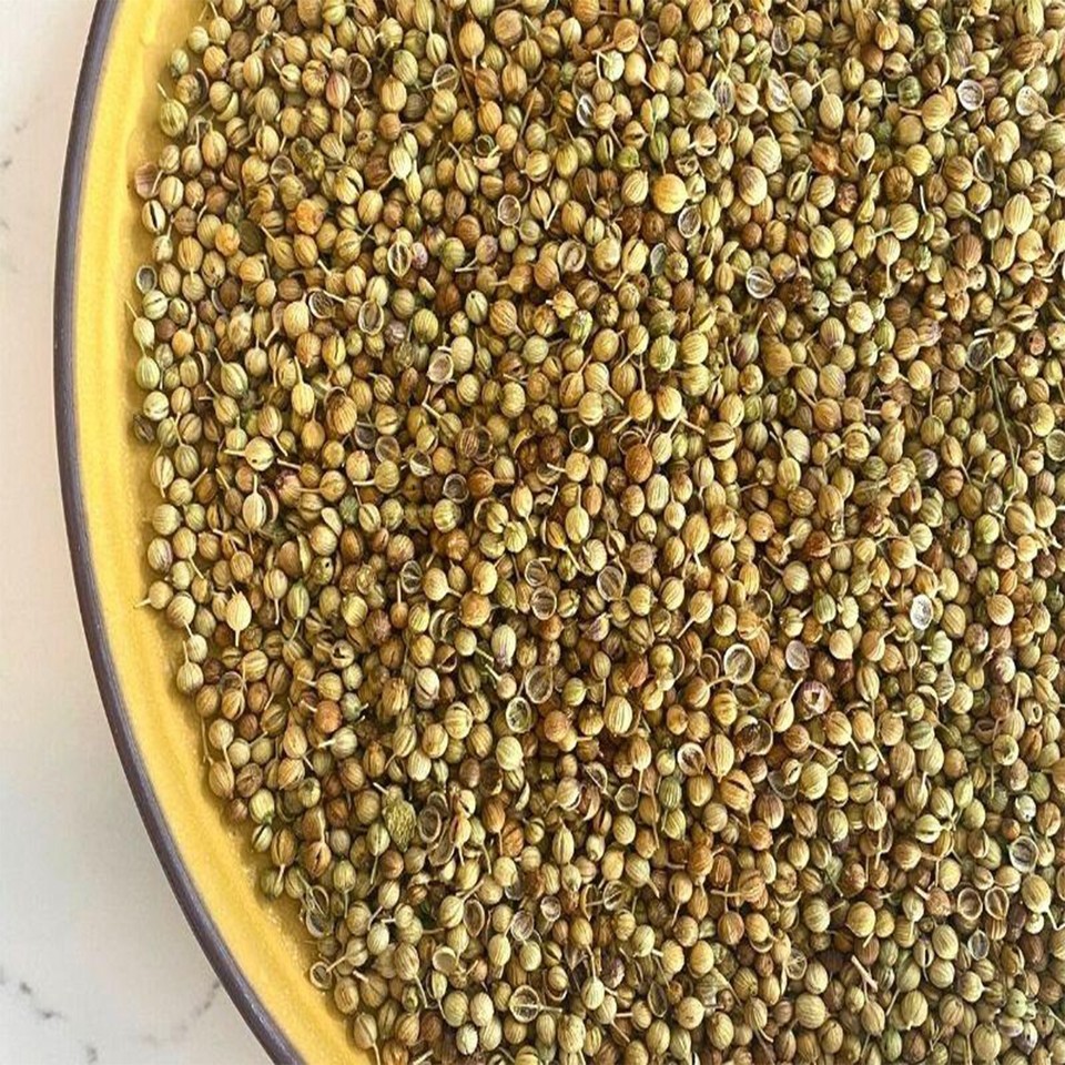 Dried Coriander Seeds 100% Pure Organic Natural Whole Koththamalli ...