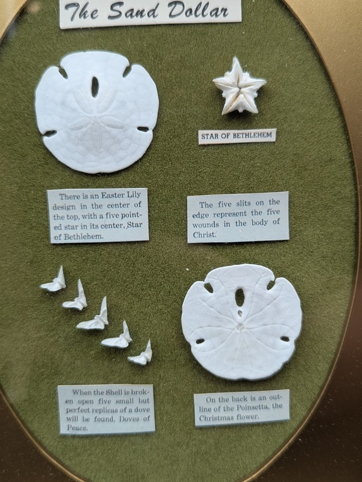 RARE Gold-Tone Shadow Box Frame Sand Dollars Handmade Art Christian ...