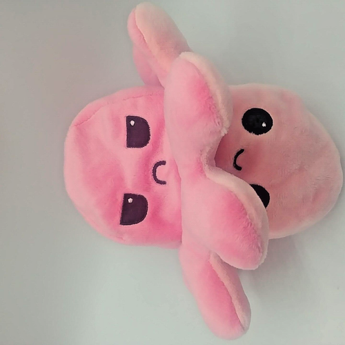 Tee Turtle Reversible Octopus Happy/ Mad Plushie Patented Design ...