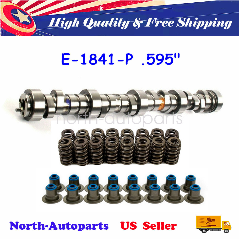 E-1841-P Sloppy Stage 3 Camshaft .595" 296°Cam Springs Kit For GM Chevy ...