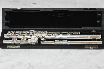Altus A907 Flute Hardcase AZUMINO | eBay UK