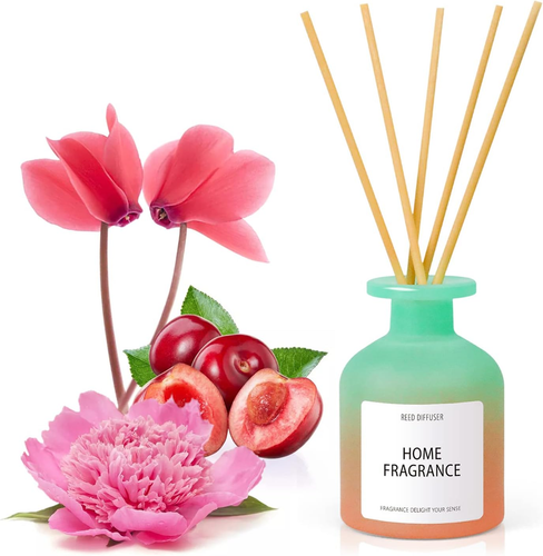 Diffusore Profumo Ambiente Con Bastoncini, Diffusore per Ambiente 100Ml ...
