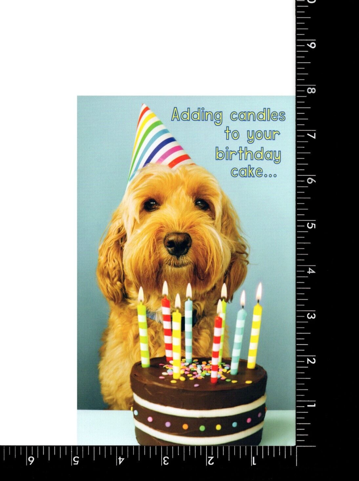 Cute HAPPY BIRTHDAY Card, Cockapoo Labradoodle Dog Cake — Stockwell ...