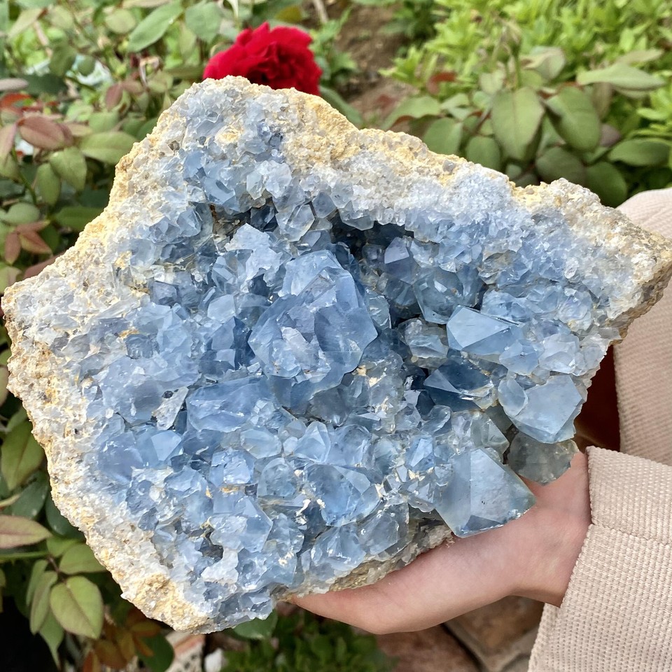 7.7LB Natural Beautiful Blue Celestite Crystal Geode Cave Mineral ...