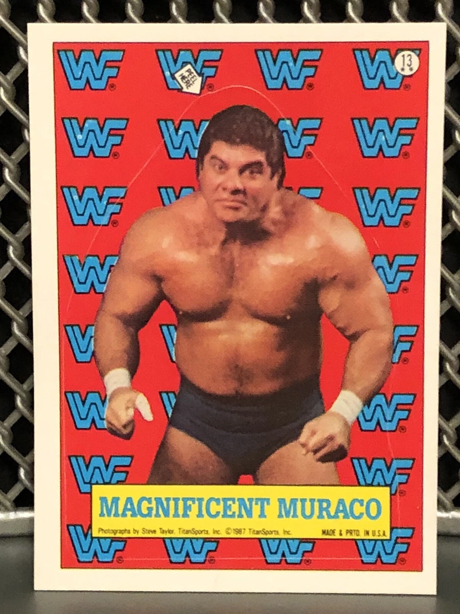 The Rock Don Muraco