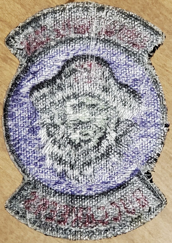 USAF AIR FORCE MILITARY PATCH 428TH TACTICAL FIGHTER SQUADRON SUBDUED ...