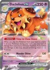 Dachsbun ex 067/142 Stellar Crown SCR Pokemon Card NM | eBay