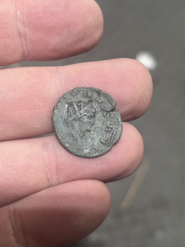 Ancient Roman Zoo coin (feline) cleanable with good details | eBay