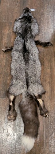 RARE Ranch Silver Cross Fox Hide Pelt Freshly Tanned Soft LUXURIOUS FUR ...