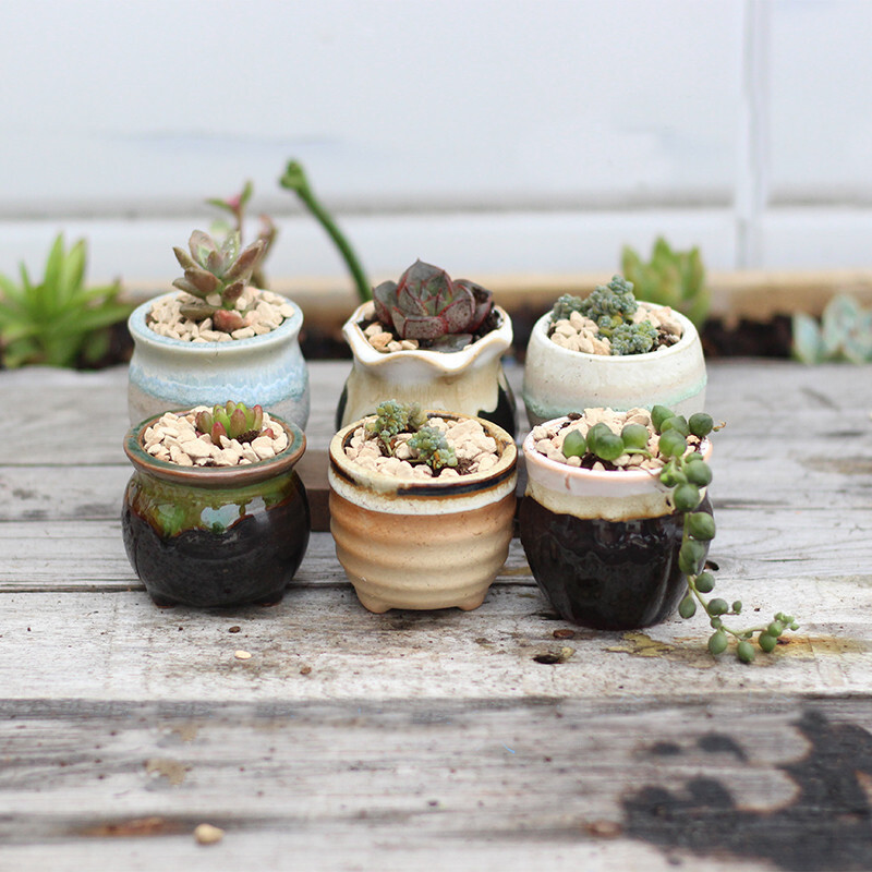 6x Mini Ceramic Plant Pot Handmade Glazed Planter Succulent Flower ...