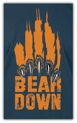 Chicago Bears Football Logo NFL Sport Car Bumper Sticker Decal "SIZES ...