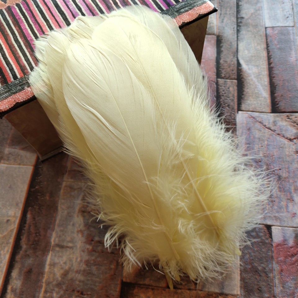 Wholesale 20-100 Pcs Pretty Natural Goose Feathers 12-18 cm/5-7 inches ...