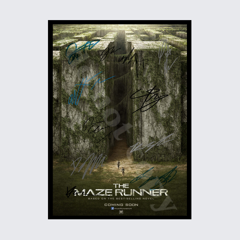 Maze Runner Movie Cast The Maze Runner Wikipedia