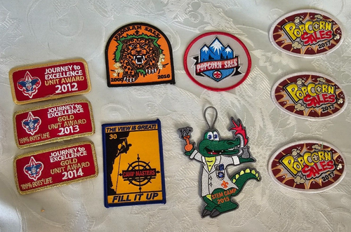BSA 10 Cub Patches 2009-17 popcorn sales Stem Camp Journey To ...