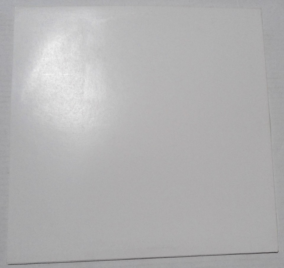 Mista Lady Blackberry Molasses What About Us Promo 33RPM Vinyl A ...