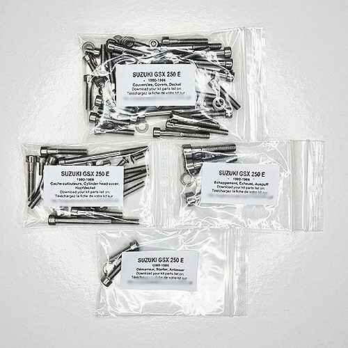 SUZUKI GSX 250 E 1980-1986 kit n°2 vis BTR inox moteur GSX250 | eBay