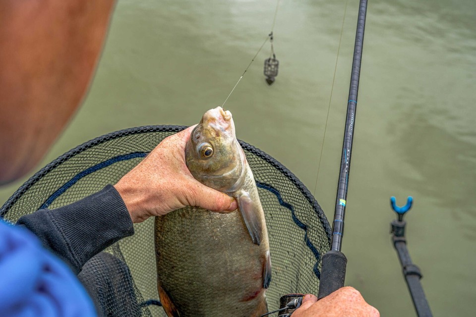 Preston Supera X Feeder Coarse Fishing Feeder Rod *All Lengths* NEW ...
