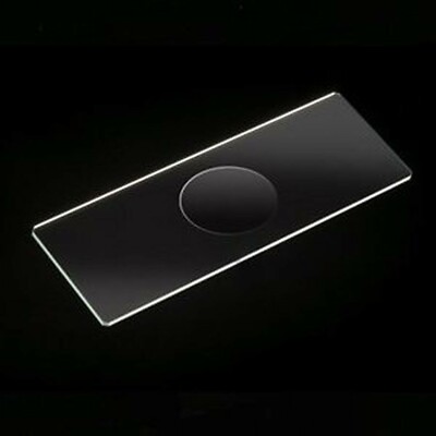 Single Cavity Microscope Slide, Ground Edge, Karter Scientific (Case of ...