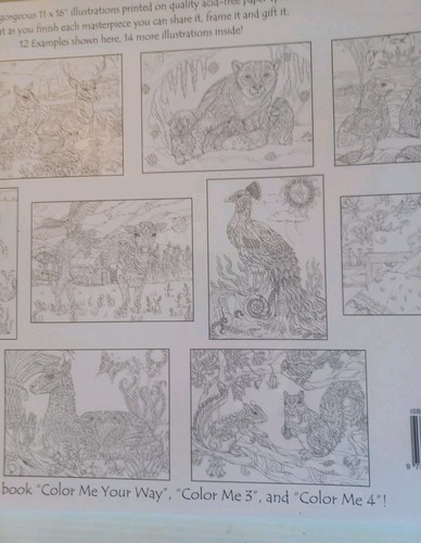 Color Me Your Way 2 Adult coloring book Spiral-bound By Pamela Smart | eBay