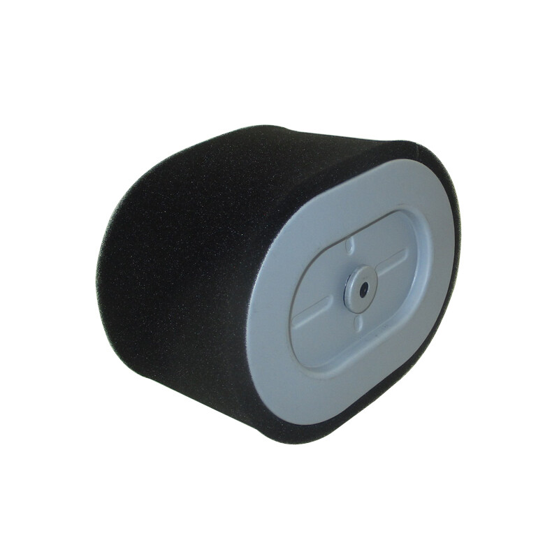 Air Filter For Briggs & Stratton 799818 Cleaner Ca 25T232-0007-F1 Parts ...