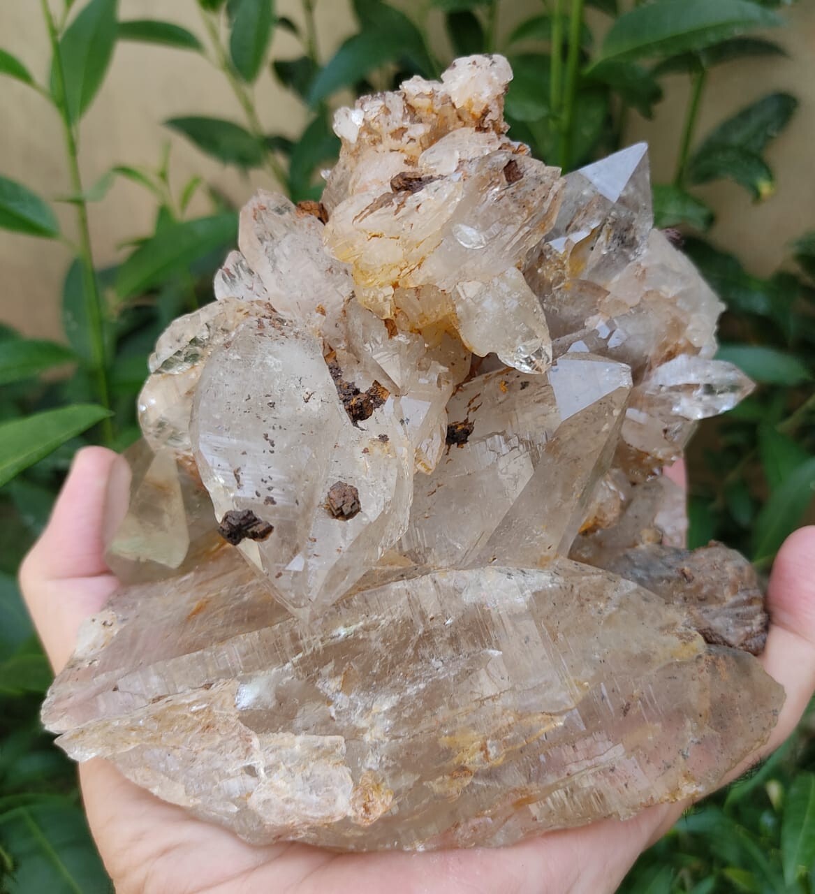 Lustrous Smoky Quartz crystals cluster w/ siderite Skardu Pakistan ...