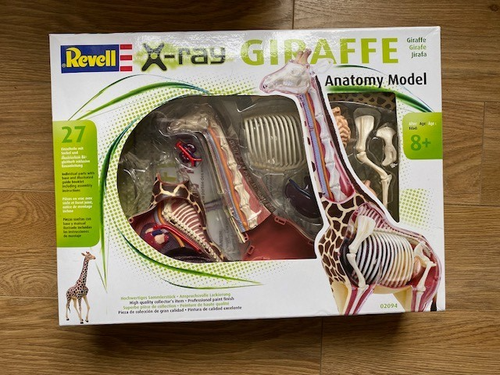 VERY RARE Revell X-ray Giraffe (NEW & UNOPENED) Model | eBay