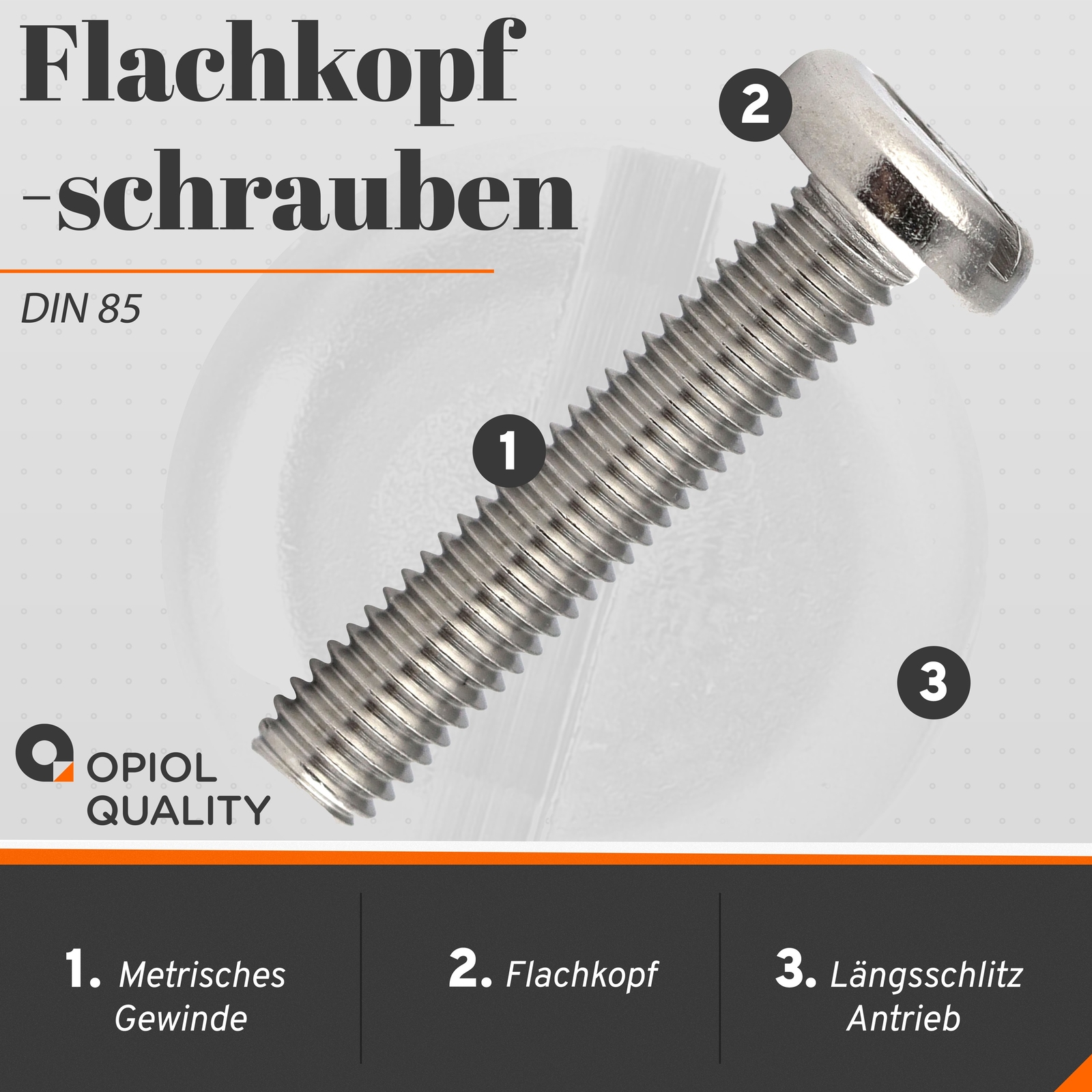 M4 M5 Tellerschrauben Flachkopf mit Schlitz Edelstahl A2 Becherschrauben DIN 85 | eBay