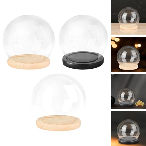 Display Dome with Wooden Base Tabletop Display Case Pedestals Ornament ...