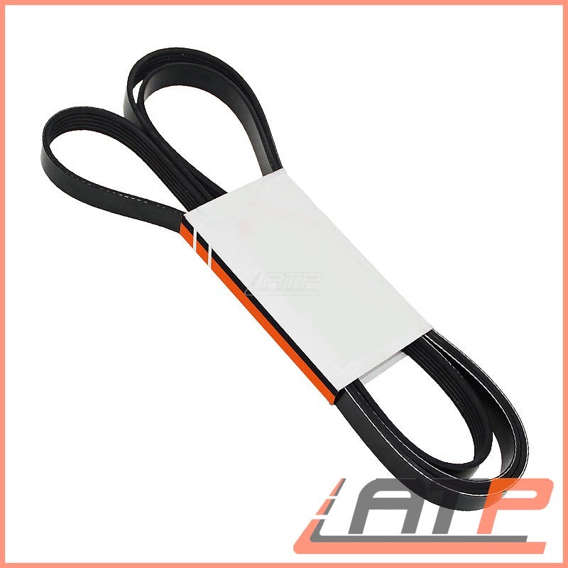 V-RIBBED BELT FOR SEAT EXEO 3R +ST 1.6-2.0 08- | eBay UK