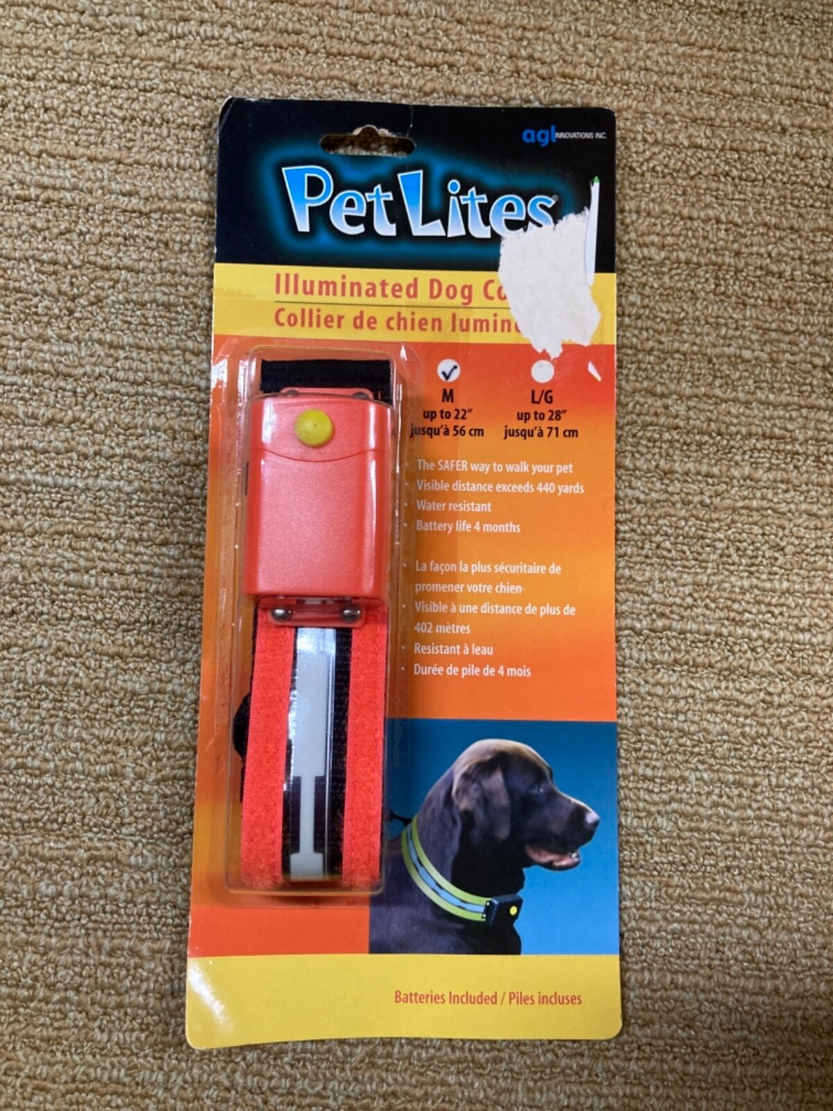 Illuminated Pet Dog Collar Fluorescent Dogs Collar New size M | eBay