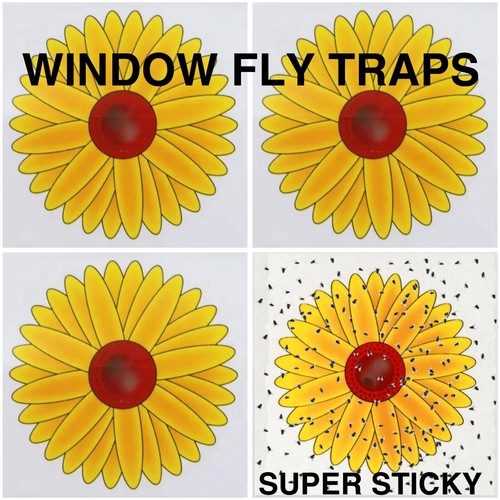 4 Fly Killer Catchers Traps Window Flower Stickers Bug Insect Sticky ...