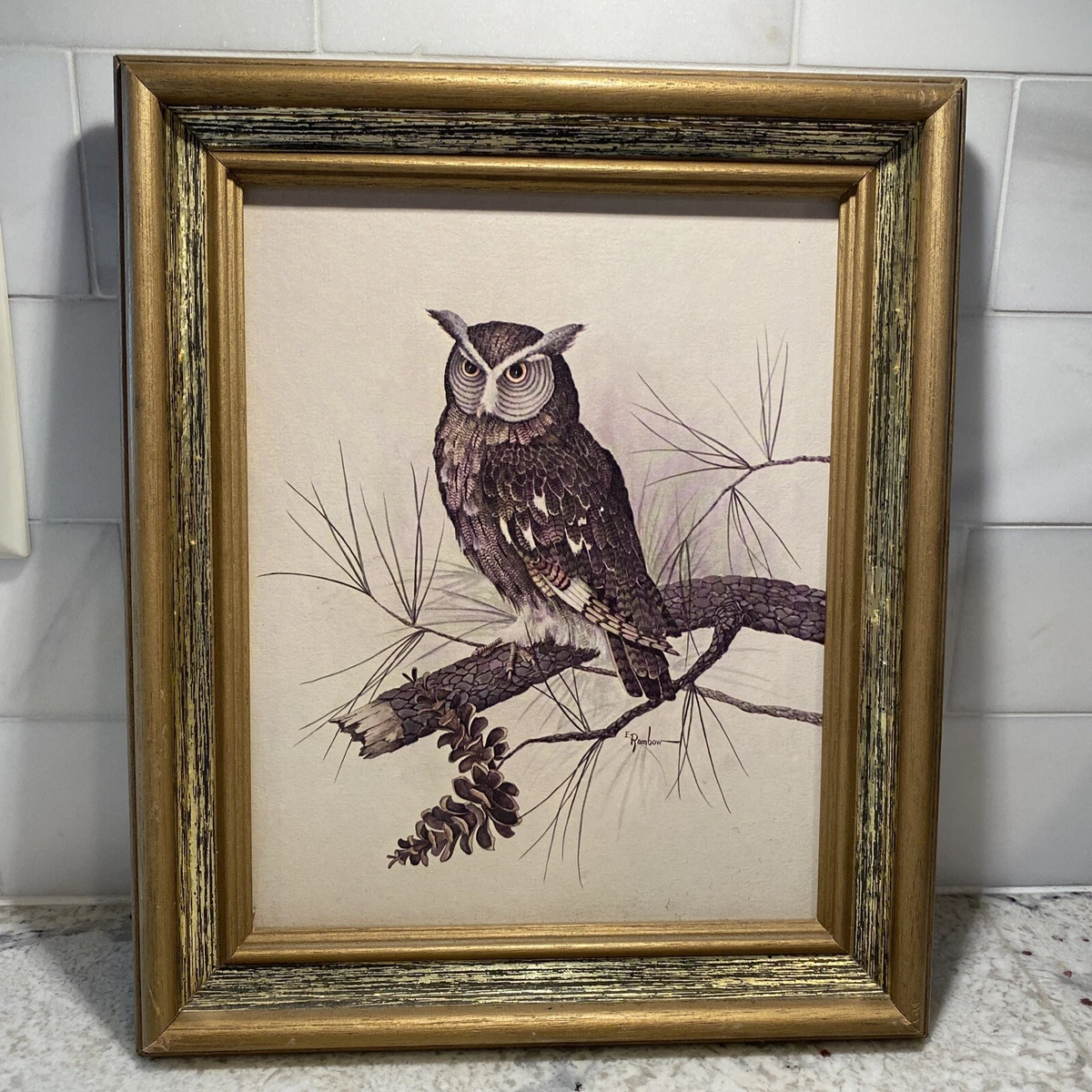 Vintage Owl Art