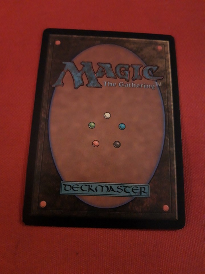 Warden Of First Tree Reforge Magic MTG VF FR | eBay