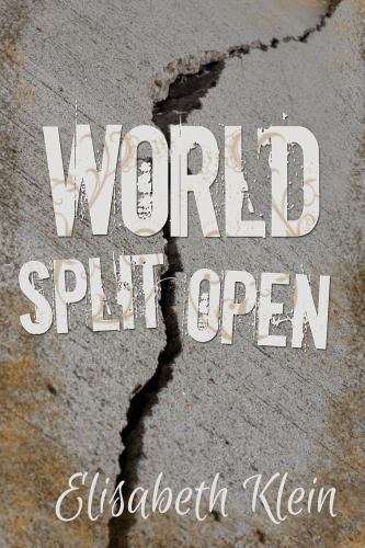 World Split Open by Elisabeth Klein (2014, Trade Paperback) for sale ...