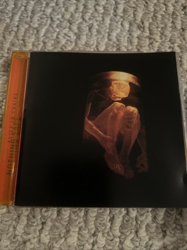 Alice In Chains Nothing Safe CD VG | eBay