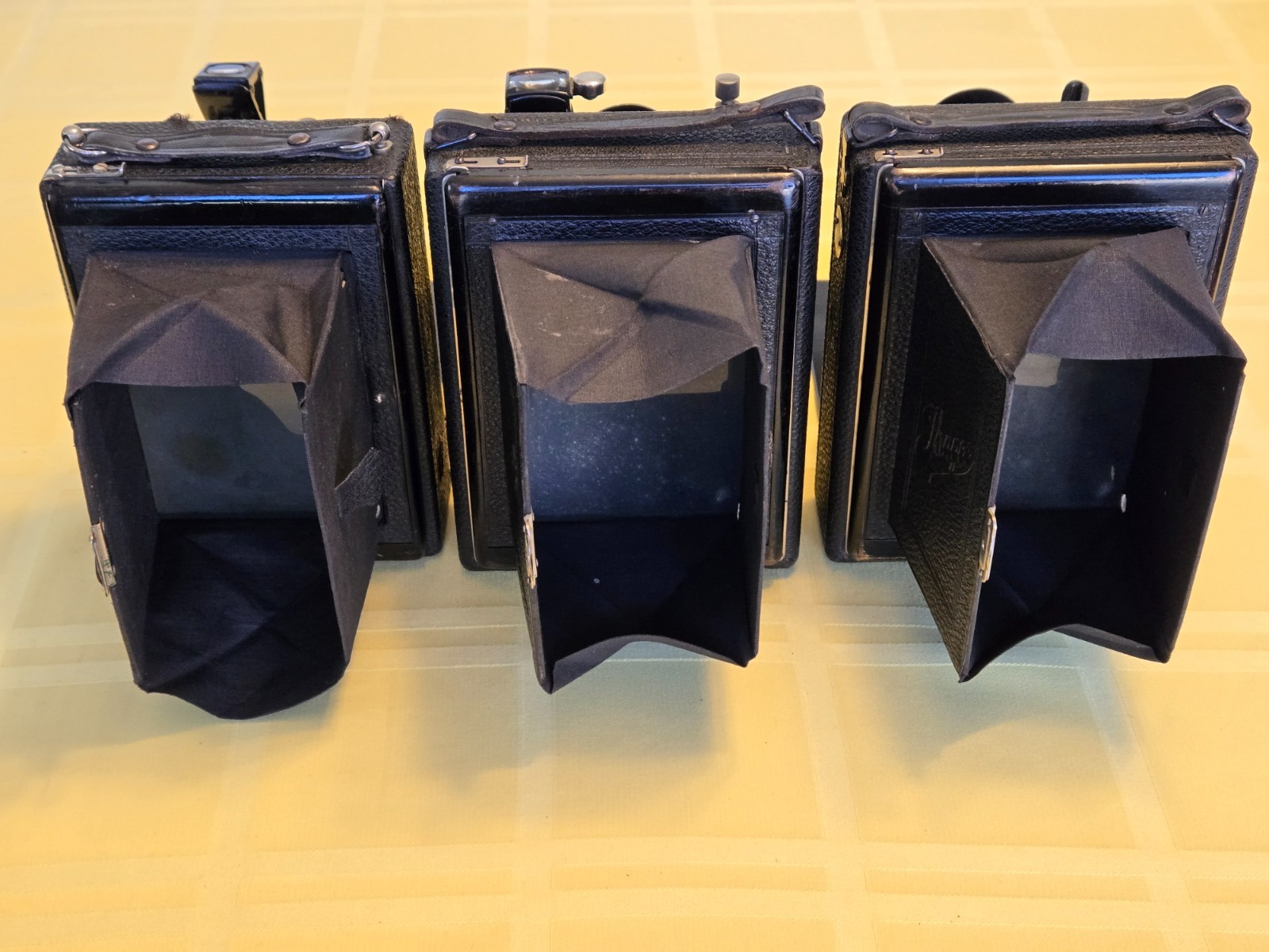 3 Ihagee Duplex Folding Plate Film Cameras - 9x12 Format | eBay