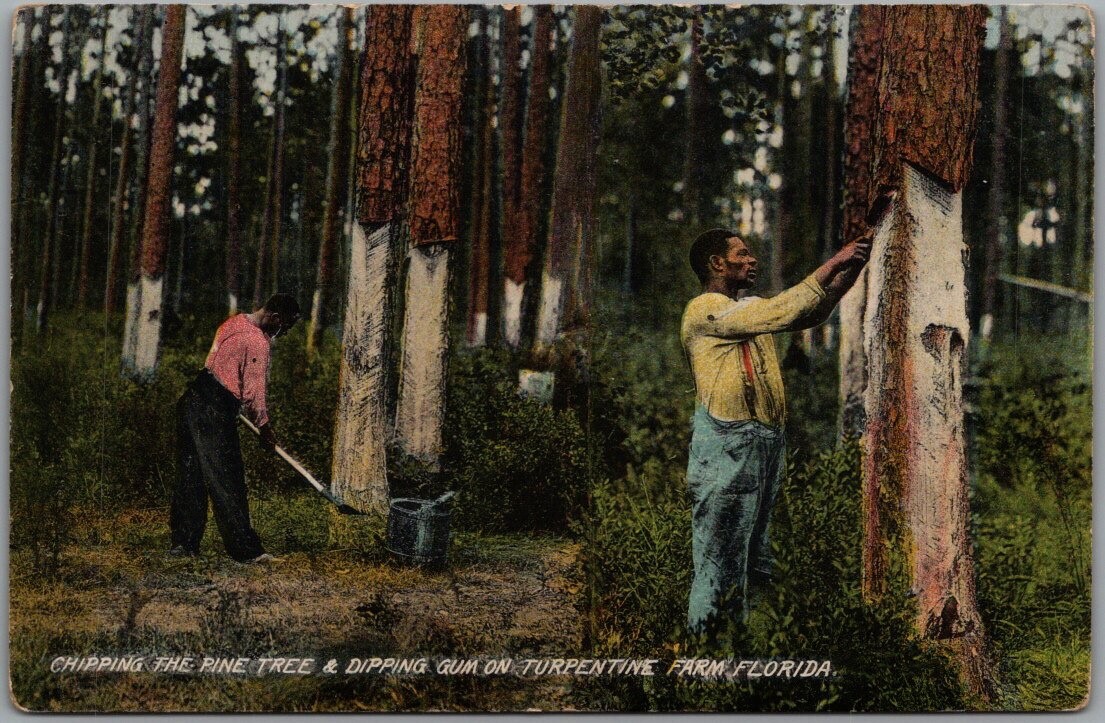 Turpentine for sale | Only 2 left at -75%