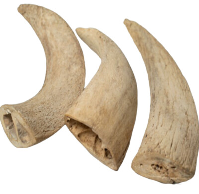 Pack of 3 Loving Pets Water Buffalo Horn Core Crunch Small Dog Chew ...