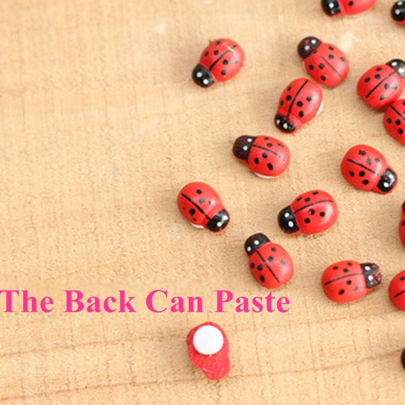 10x Ladybug Insect Aquarium Terrariums Miniature Garden Fairy House ...