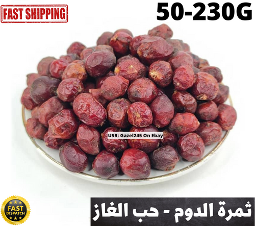 Doum Fruit (palm tree) Dried Fresh Herb Organic 50-180G ثمرة الدوم - حب ...