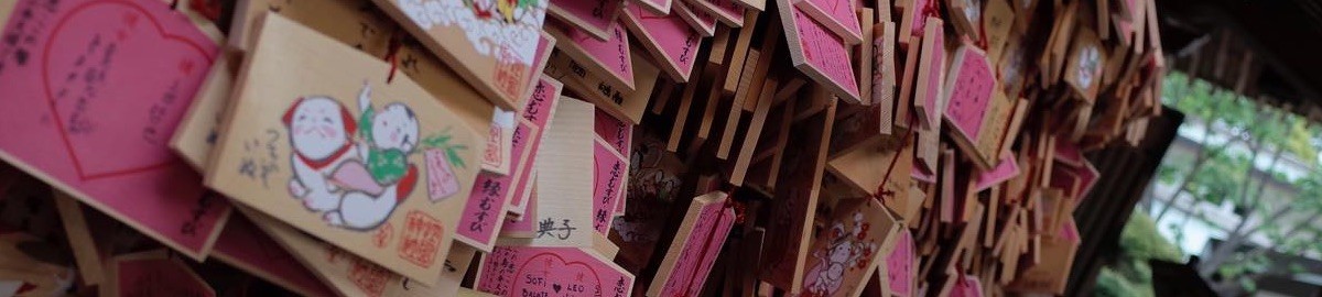 Bun Boon Camera | eBay Stores