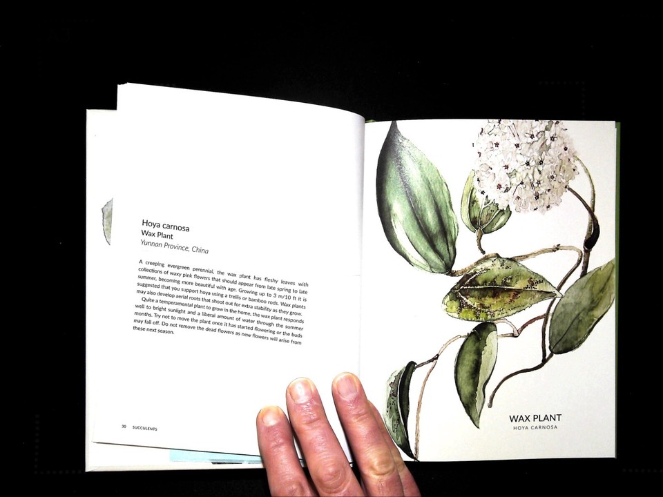 Indoor Plant Guide Urban Botanics for Modern Gardeners by Emma Sibley ...