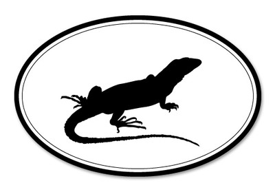 Lizard 2 Oval car window bumper sticker decal 5" x 3" | eBay