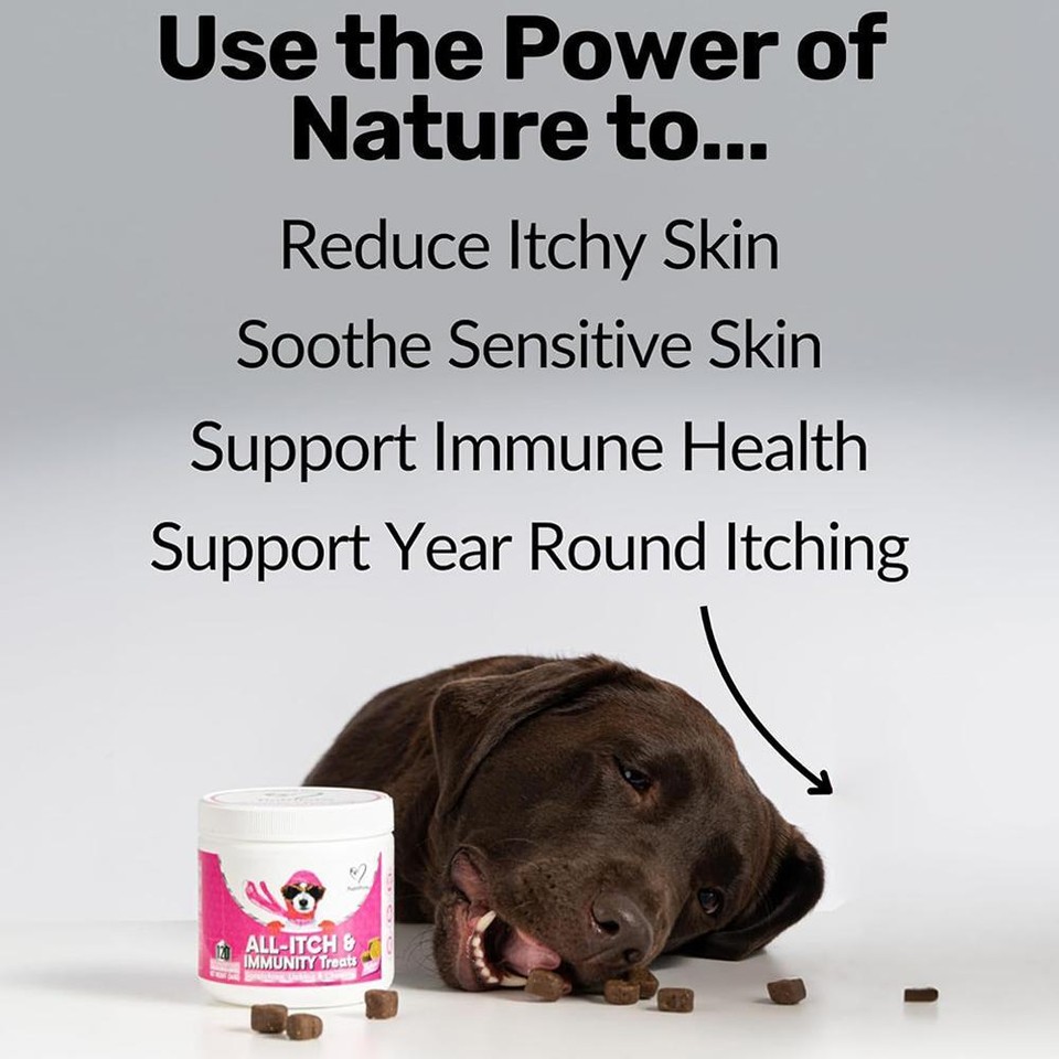 NutriPaw All-Itch Immunity Treats For Dogs Soothe Itchy Paws Eyes Ears ...