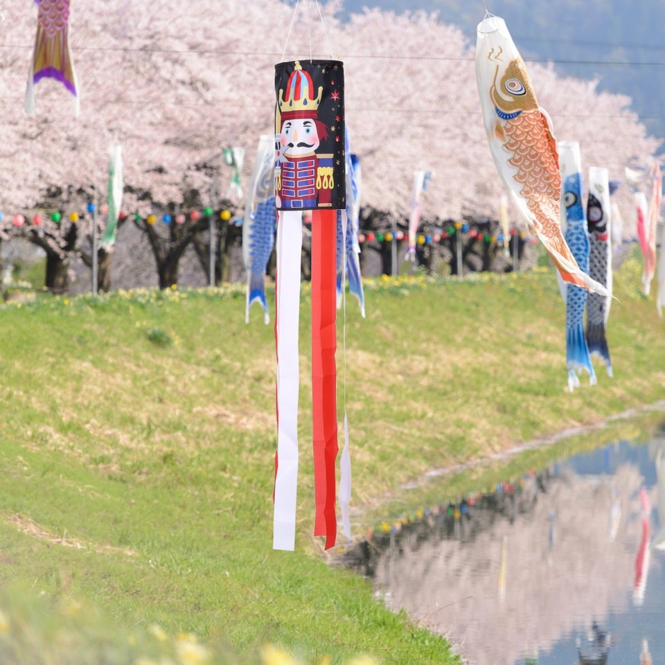 Manicotti Vento Per Esterni Bandiera Della Direzione Decorativa All ...