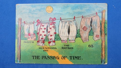 Risque Comic Postcard 1913 Bloomers Knickers Washing Line THE PASSING ...